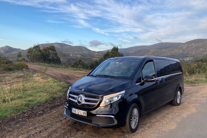 Private Transportation From Granada City to Malaga Airport - About the Host and Company