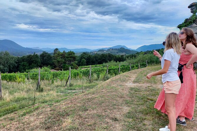 Private Wine Tour on the Magical Hills of Lucca (2 Wineries) - Winery Visits