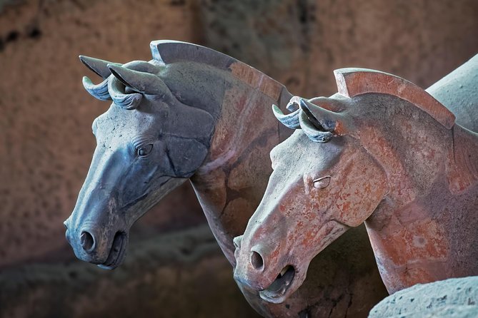 Private Xi'an Tour: Terracotta Warriors, Hanyangling Museum, Cave Homes - The Sum Up