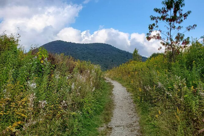 Privately Guided Half Day Hike - Customer Feedback
