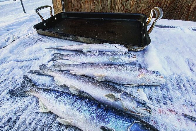 Quick and Easy Ice Fishing at Chena Lake - Exploring the Chena Lakes Recreation Area