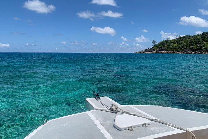 Reef Safari - Snorkeling, Fish Feeding & Lunch (Shared Day Trip) - Barbecue Lunch and Local Cuisine