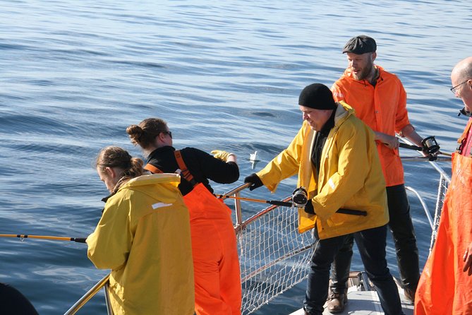 Reykjavik Sea Angling Gourmet - Suitability and Additional Information