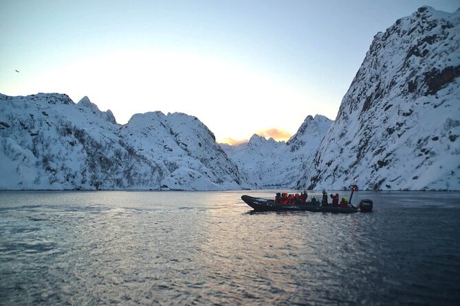 RIB Sea Eagle Safari Trollfjord Cruise - Traveler Reviews