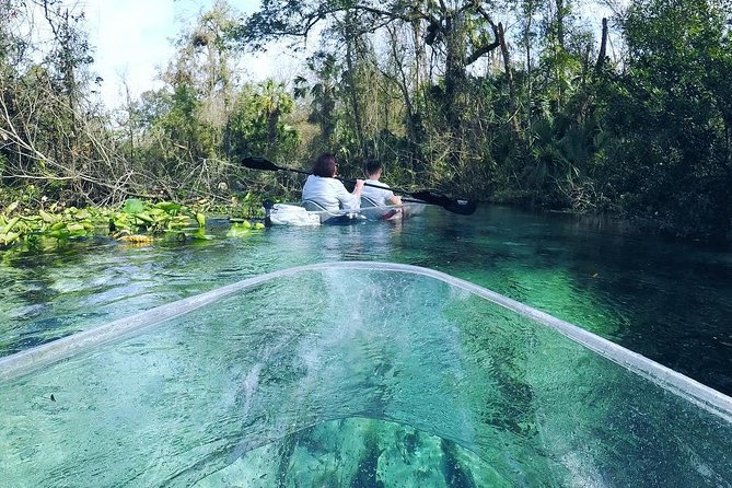 Rock Springs 2-Hour Glass Bottom Guided Kayak Eco Tour - Practical Details: What You Need to Know