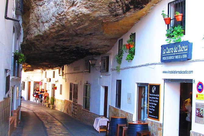 Ronda and Setenil De Las Bodegas Tour From Malaga - Guide Performance and Tour Organization