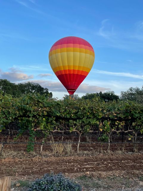 San Antonio: Fredericksburg Wineries Day Trip with Tastings - Who Will Love This Tour?