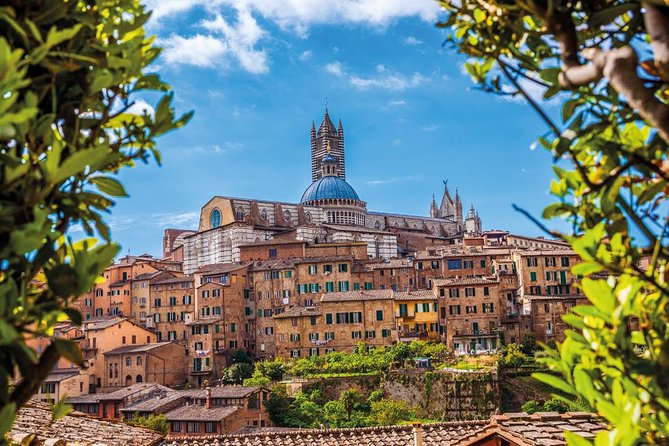 San Gimignano, Siena and Chianti Small Group Wine Tour - Final Thoughts