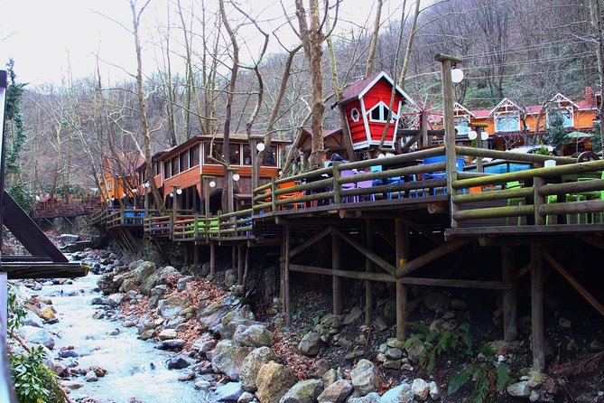 Sapanca Lake and Masukiye Tour - Transportation and Accessibility