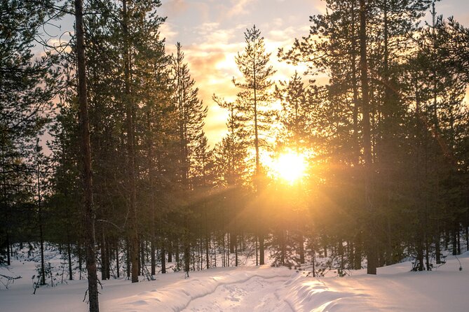 Scenic Electric Fat Bike Group Ride in Rovaniemi - Exploring the Snow-Covered Countryside