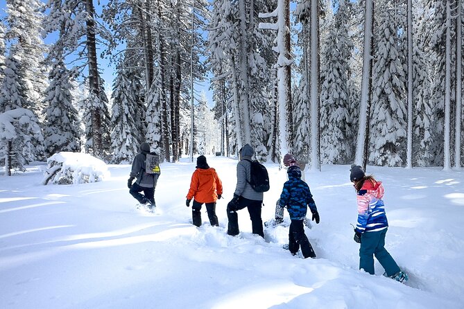 Scenic Snowshoe Adventure in South Lake Tahoe, CA - Embracing the Challenge