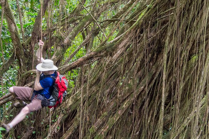Secret Oahu Half Circle Island Tour With A Local Guide - Booking Information and Pricing