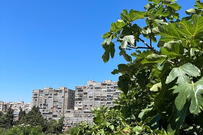 Secret Split: Socialist Architecture & Brutalism - Urban Utopia - Understanding the History and Significance of the Residential Area