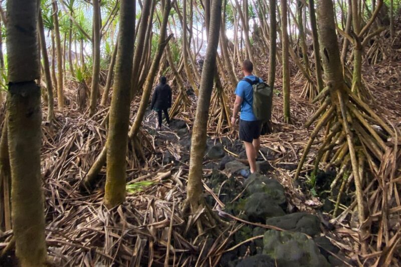 Secret Tide Pool Hike - Jungle & Coast - Private - Discover the Secret Tide Pool Hike: An Authentic Big Island Adventure
