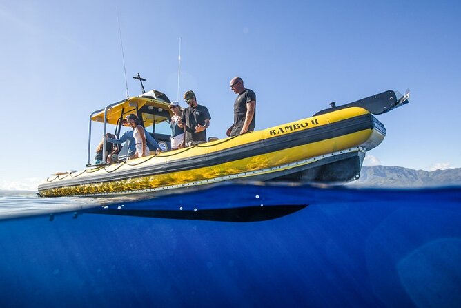 Shark-Dive Tour on Oahu's North Shore - The Sum Up: Who Should Consider This Tour?