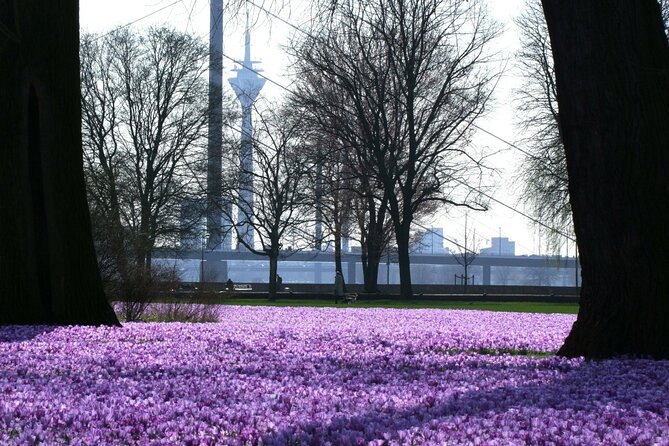 Sightrunning - Private Running Tour in Düsseldorf - Frequently Asked Questions