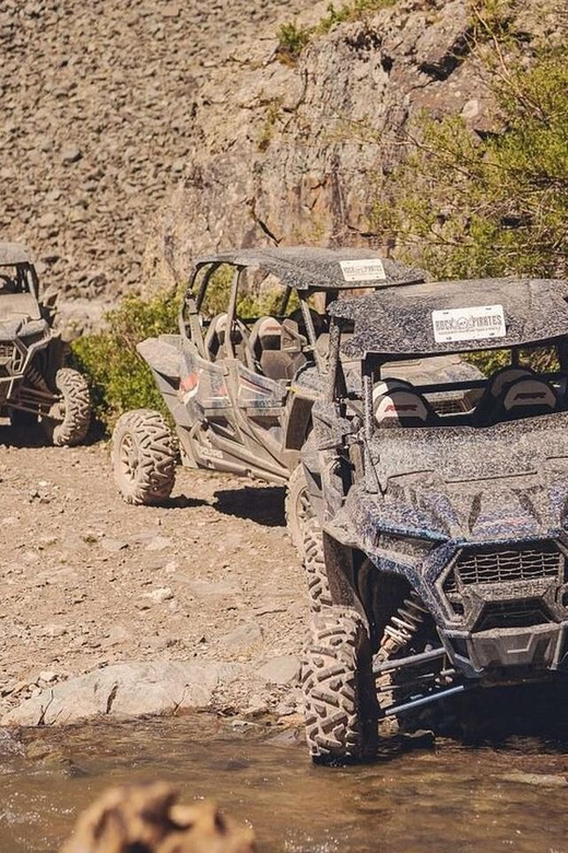 Silverton: Full-Day ATV Adventure - Who Will Love This Experience?