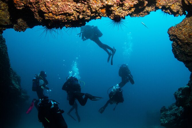 Single Scuba Try-Dive in Puerto Del Carmen - Small Groups - 2 Hours - Experience Highlights