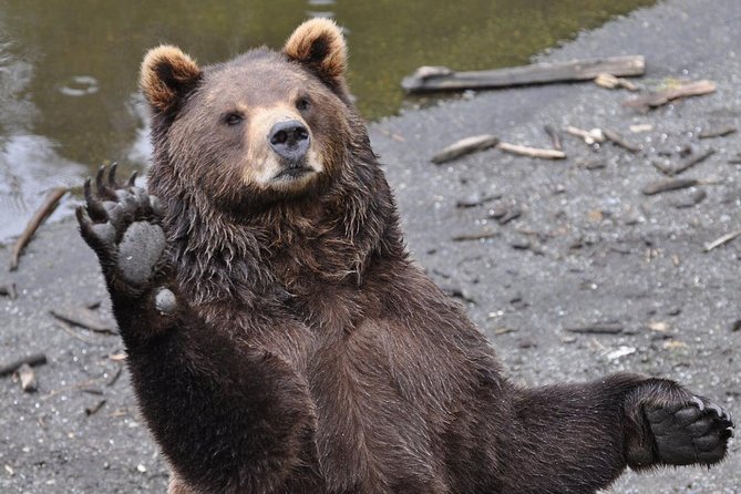 Sitka Scenic Tour - Final Thoughts: Is It Worth It?