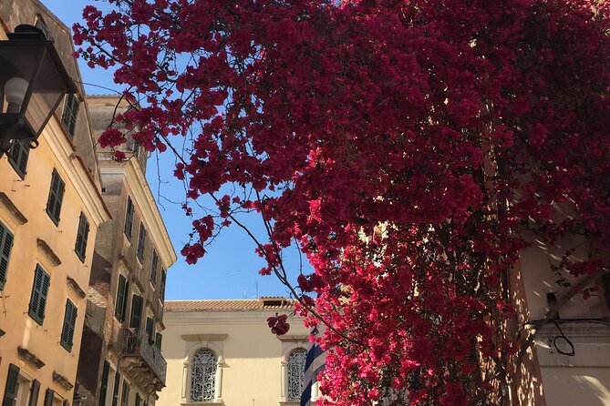 Small-group Corfu Town Historical Walking Tour - Local Insights and Recommendations
