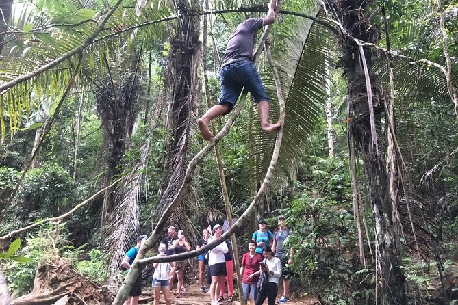 Small-Group Jungle Hiking Excursion in Khao Phra Teaw Park - Frequently Asked Questions