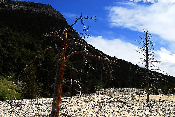 Small-Group Tour of the Rocky Mountain National Park From Denver - What to Expect