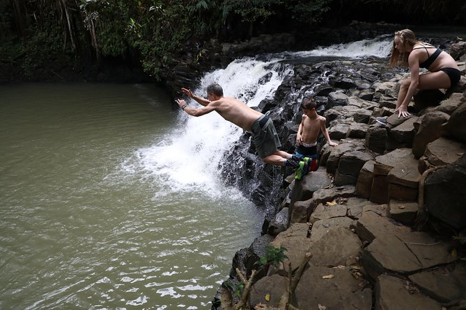 Small Group Waterfall and Rainforest Hiking Adventure on Maui - The Sum Up