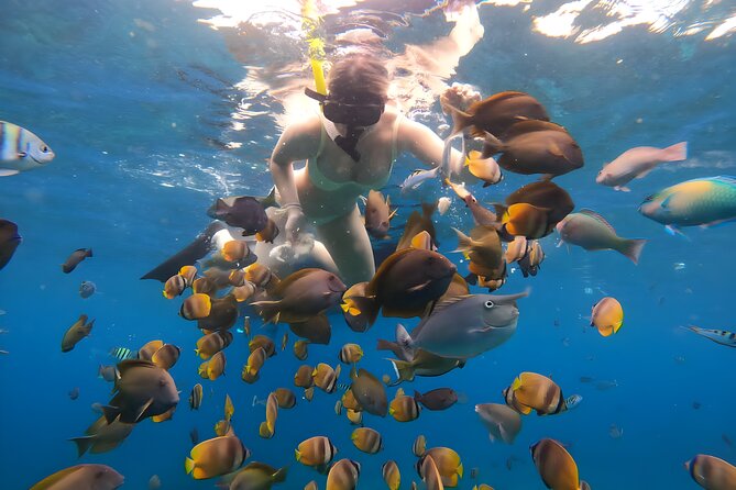 Snorkeling In Nusa Penida Departing From Bali Island - The Sum Up