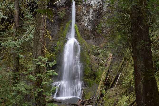 Sol Duc, Lake Crescent, and Hurricane Ridge Guided Tour in Olympic National Park - Ascend to Hurricane Ridge