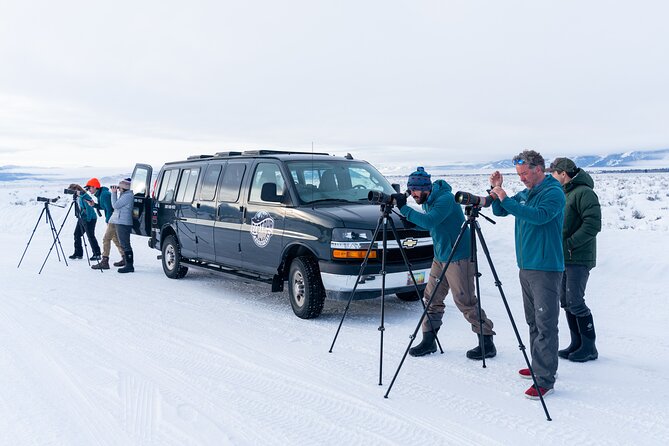 Sunrise 4-Hour Grand Teton Wildlife Adventure - The Sum Up
