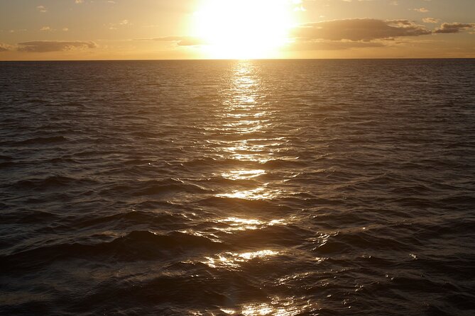 Sunset Sail Experience at Kona From Honokohau - Enjoying the Sunset and Marine Wildlife