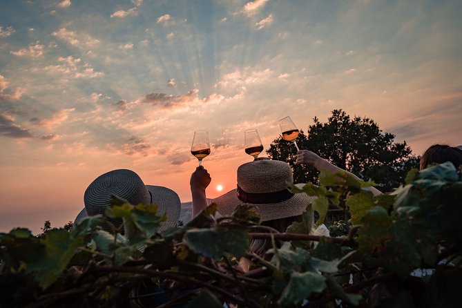 Sunset Wine Tasting in Vineyard - Exploring the Natural Wines