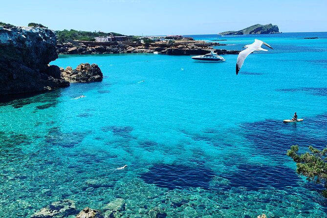 SUP Adventure Ibiza (Stand up Paddle , Snorkeling ,Kayaking) VIP - Customer Feedback and Experiences
