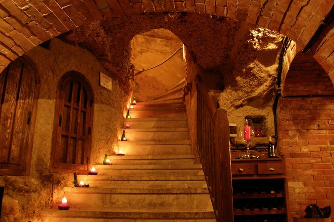 TASTE the TREASURES From RIBERA DEL DUERO in a SUBTERRANEAN Wine Cellar - Guided Tour With Local Expertise