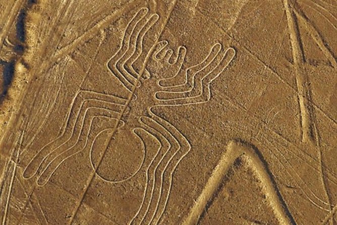 The Nazca Lines & Huacachina Oasis From Lima - Private Trip - Traveler Feedback and Recommendations