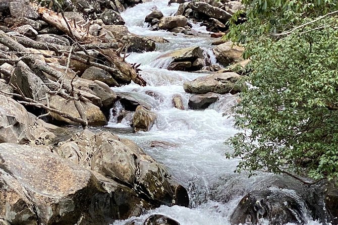Thundering Streams and Falls of the Smokies Guided Hiking Tour - Reflecting on the Guided Hiking Tour