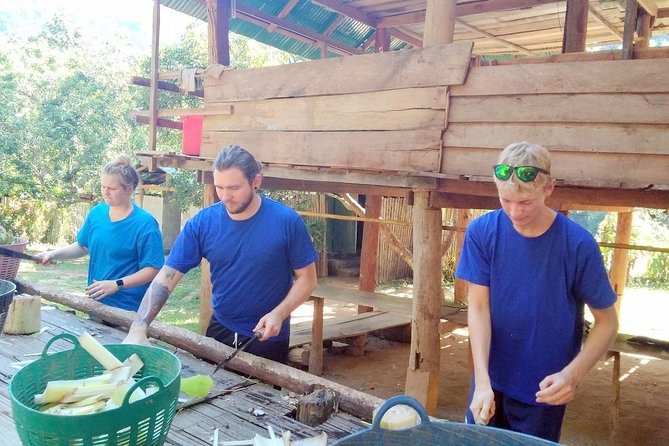 Top Pick - Full or Half Day @Elephant in Wild Sanctuary ChiangMai - The Sum Up