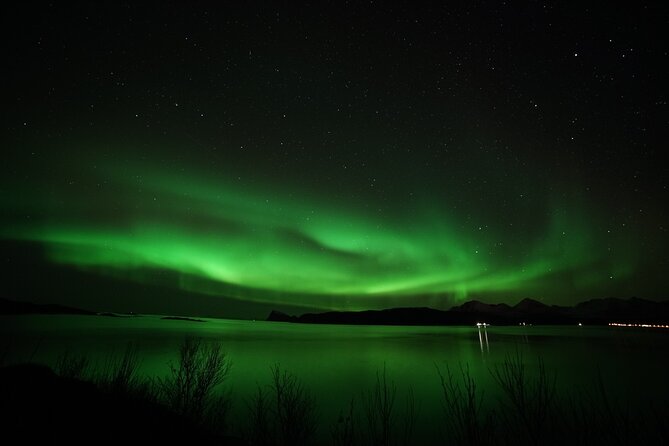 Tromso Northern Light Chase in Minibus Tour With Campfire - Additional Considerations for Participants