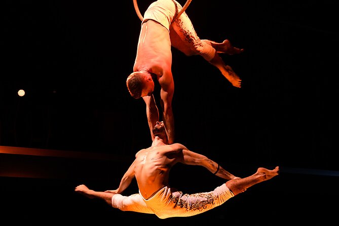 Troy Dinner-Show - Who Will Love This Experience?