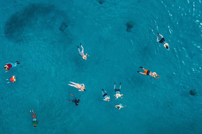Turtle Snorkeling Boat Tour and Adventure in Waikiki - Final Thoughts: Who Is This Tour Best For?