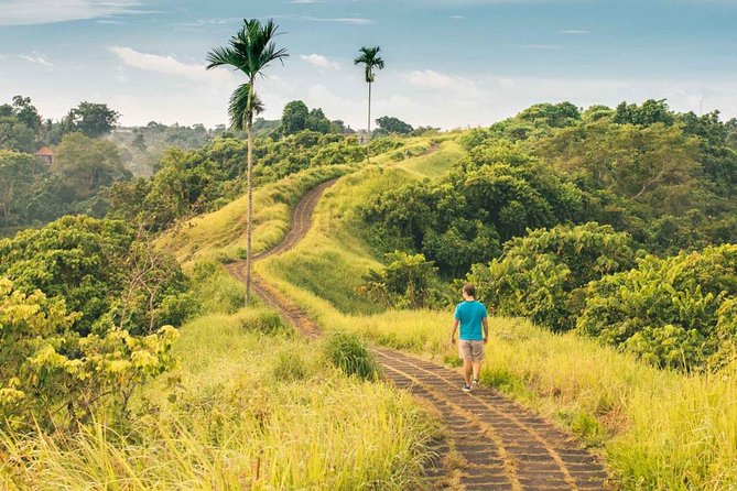 Ubud Countryside Tour: Campuhan Ridge Walk and Rice Terrace - FAQ