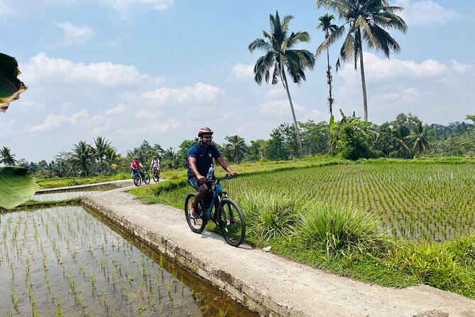 Ubud eBikes Tour to Tegallalang Rice Terrace - Value for Money