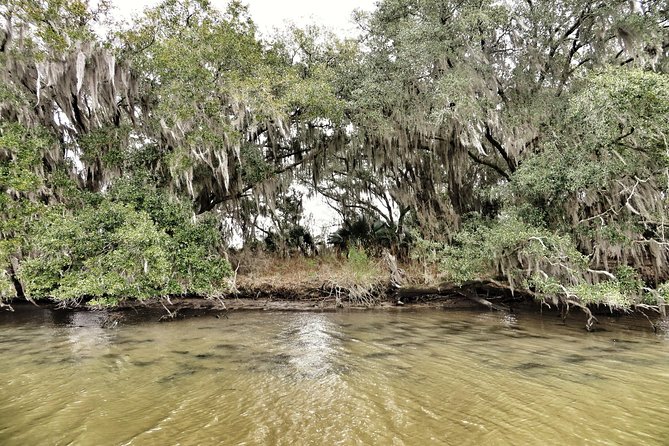 Ultimate Swamp Tour Experience with Transportation from New Orleans - FAQs