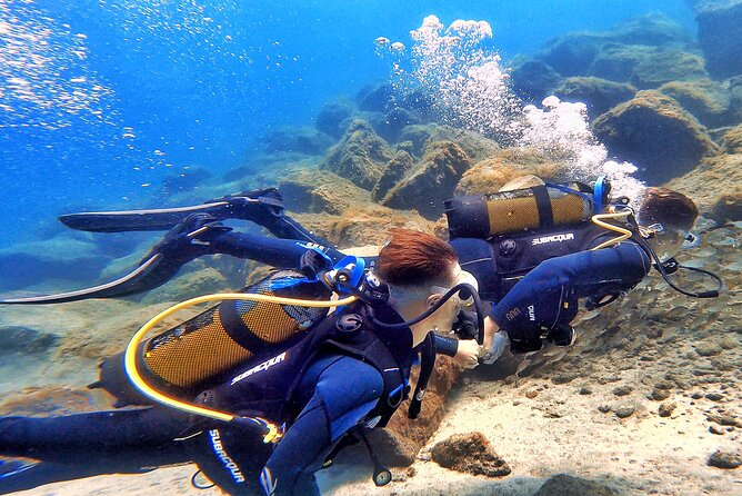Underwater Tenerife – 1-on-1 Personalized Scuba Diving Adventure - Customer Experiences and Testimonials