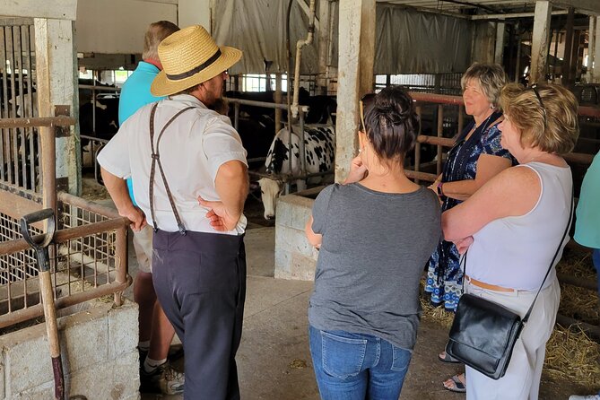 Unique Amish Immersion in Lancaster - Final Thoughts: Who Will Love This Tour?