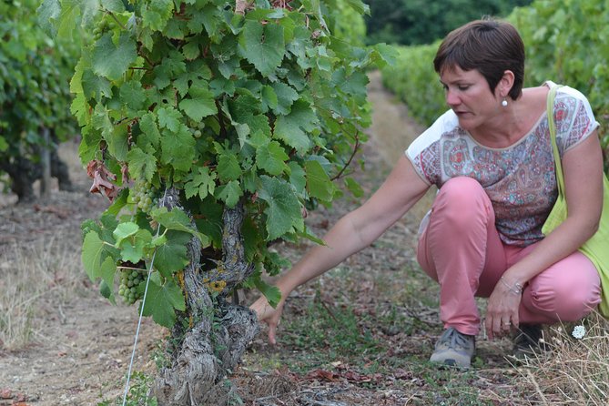 Vouvray Vineyard Tour Review: An Unforgettable Experience - Exploring the Family-Run Vouvray Vineyard