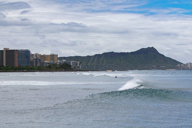 Waikiki Panorama Sail: Search for Hawaiian Sea Turtles - The Sum Up