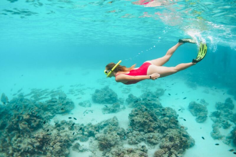 West Oahu: Turtles, Dolphins, and Snorkeling Tour with Lunch - Who Should Consider This Tour?