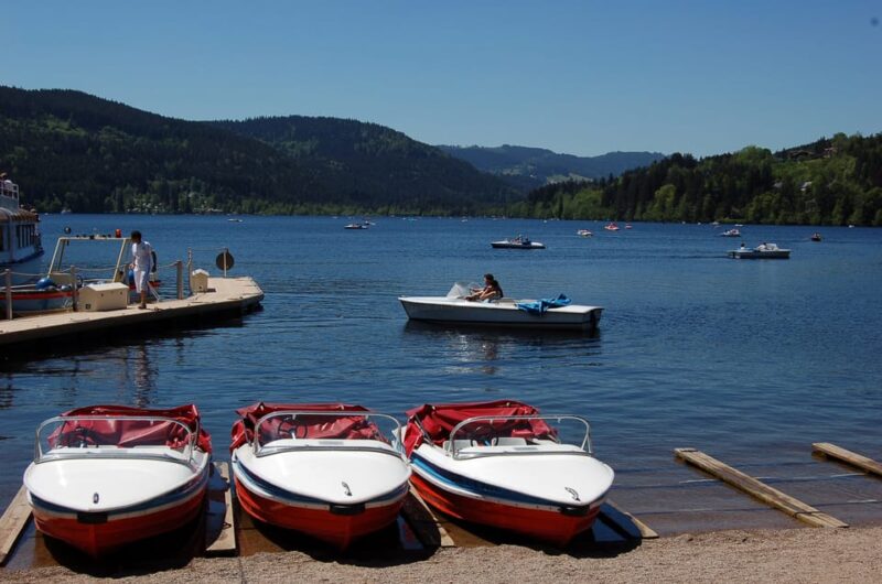 Zurich: Black Forest, Titisee, and Rhine Falls Bus Day Trip - Visiting the Rhine Falls