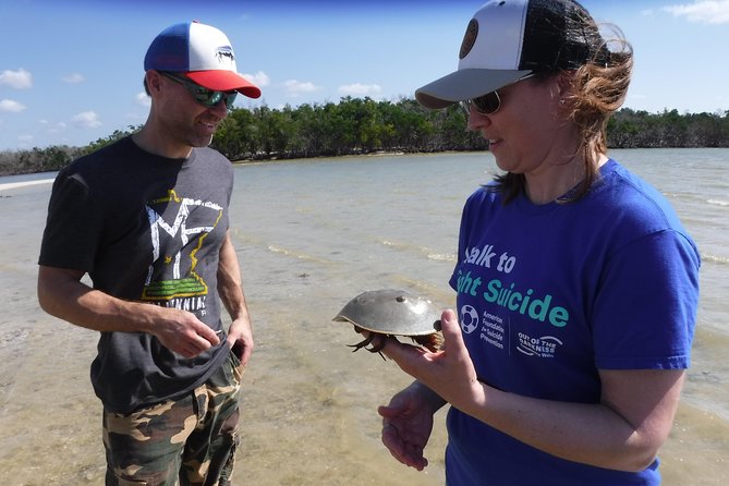 10,000 Islands Excursion Small-Group 3.5 Hour Dolphin & Shelling Boat Tour - Traveler Feedback and Experiences